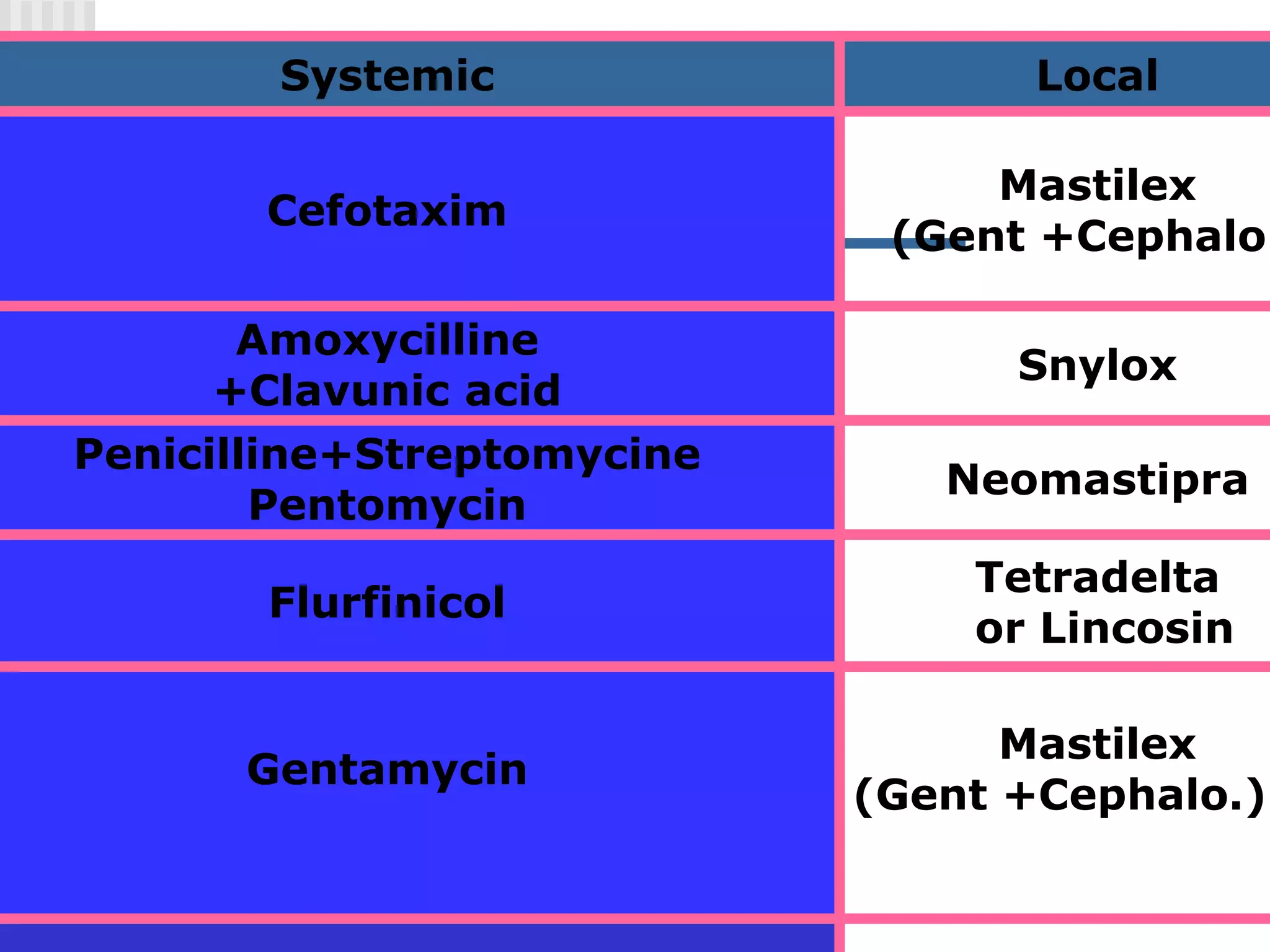 Mastitis in dairy cattle causes and treatment | PDF