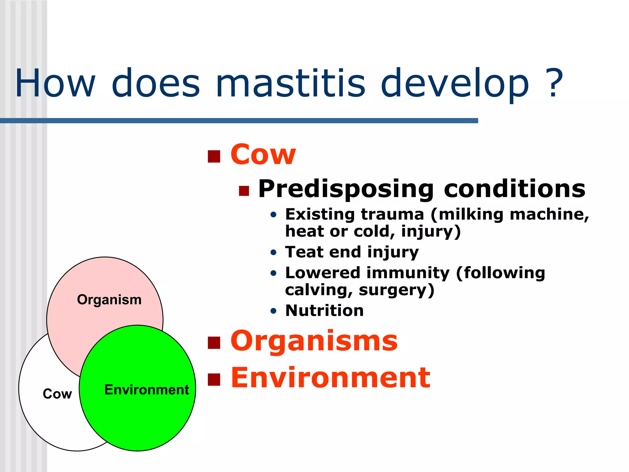 Mastitis in dairy cattle causes and treatment | PDF | Diseases and ...