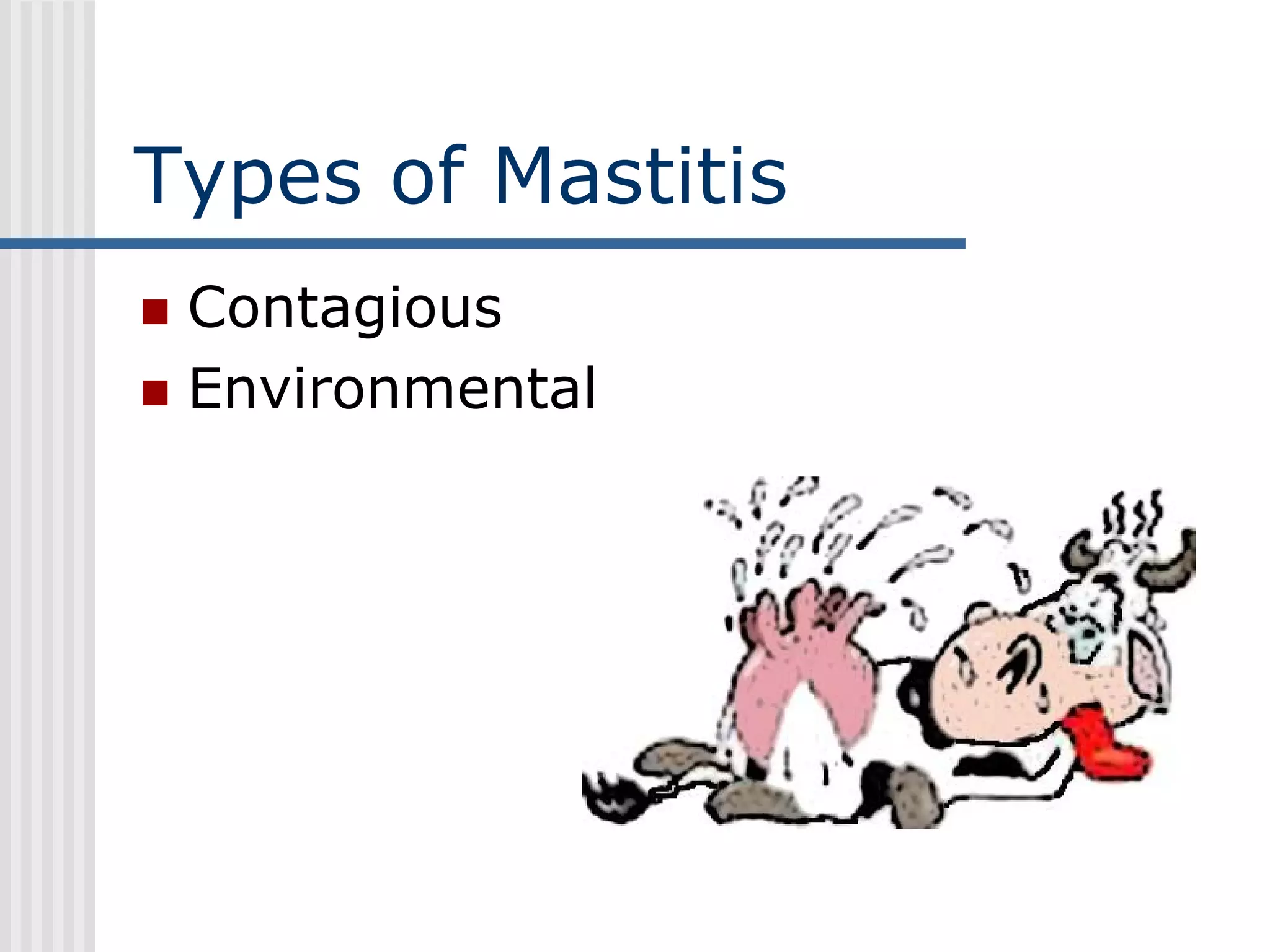 Mastitis in dairy cattle causes and treatment | PDF