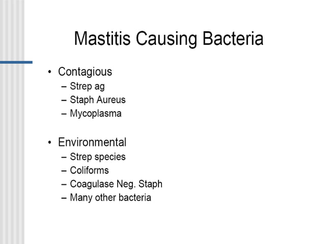Mastitis in dairy cattle causes and treatment | PDF | Diseases and ...