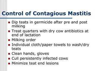 Mastitis in dairy cattle causes and treatment | PDF