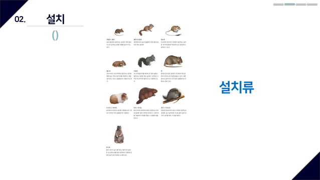 Mask rcnn - native 설치 | PPT