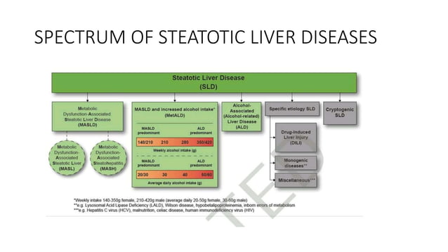 metabolic dysfunction associated steatotic liver disease.pptx | Digestive Disorders | Diseases ...