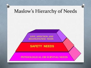 Maslow hierarchy theory | PPTX