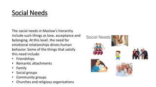 Maslow's Hierarchy of need Theory | PPTX