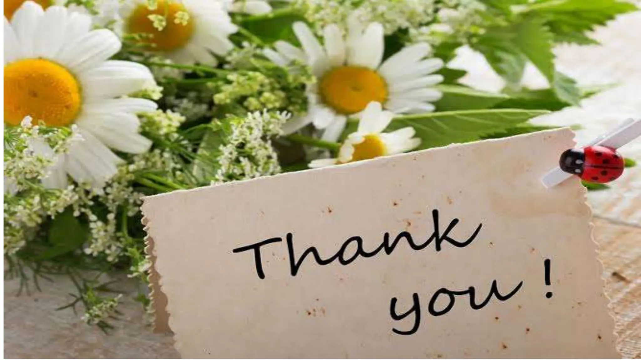 Maslow’s Hierarchy Of Needs notes FON.pptx