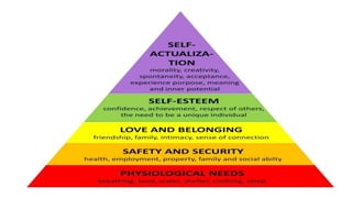 Maslow’s Hierarchy Of Needs notes FON.pptx