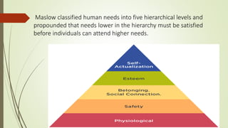 Maslow`s Hierarchy of Needs Theory.pptx