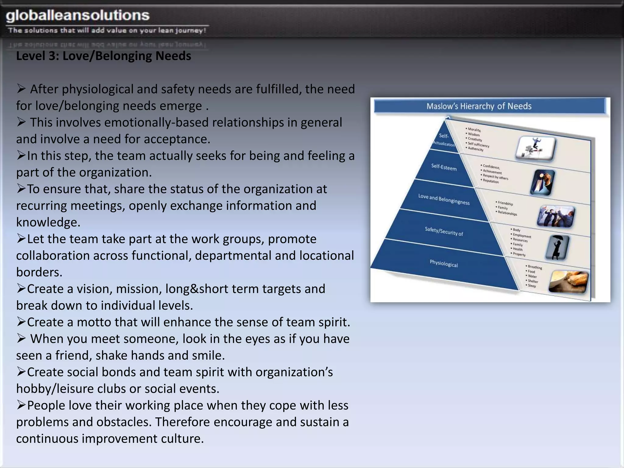 Maslow's Hierarchy of Needs Theory | PPTX