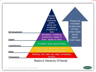 Application of Maslow’s Needs hierarchy Theory.pptx