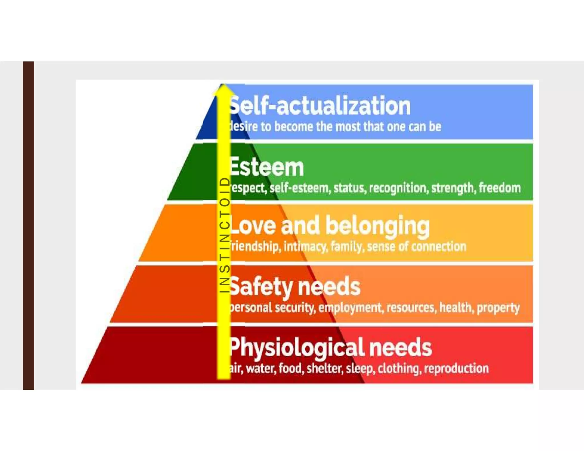 Maslows theory of motivation | PDF