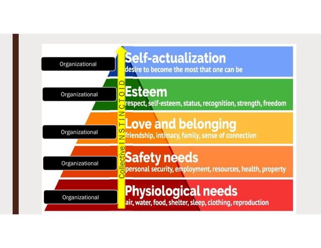 Maslows theory of motivation | PDF | Science
