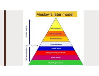 Maslows theory of motivation | PDF