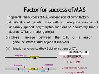MAS (MARKER ASSISTED SELECTION ) AGB PPT RAMESH KUMAR.pptx