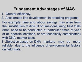 MAS (MARKER ASSISTED SELECTION ) AGB PPT RAMESH KUMAR.pptx