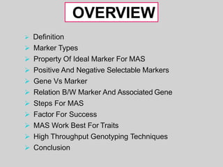 MAS (MARKER ASSISTED SELECTION ) AGB PPT RAMESH KUMAR.pptx