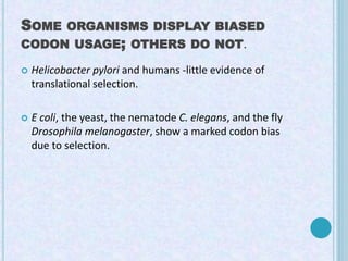 CODON BIAS | PPTX