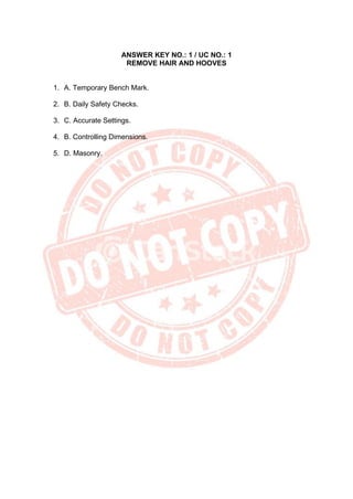 MASONRY NC II - CBLM | PDF