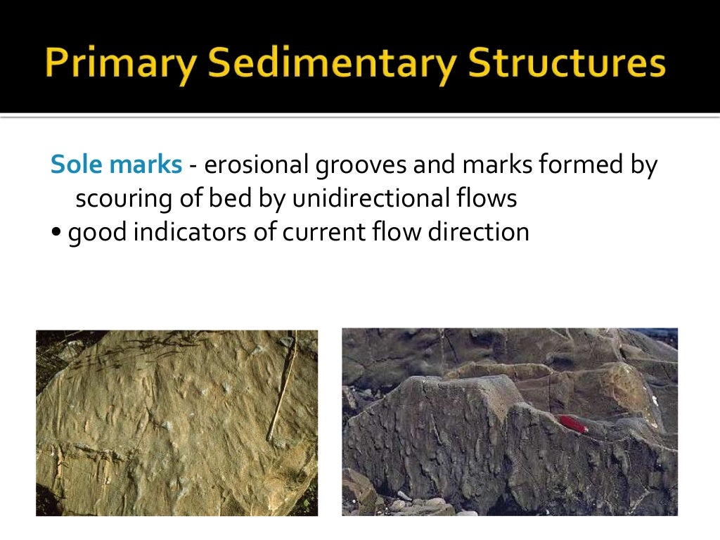 Primary sedimentary structures