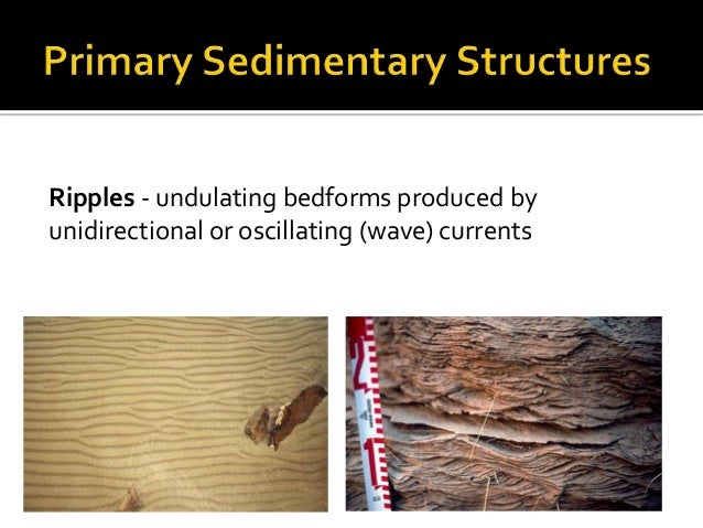 Primary sedimentary structures Primary sedimentary structures