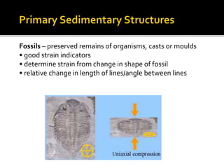 Primary sedimentary structures | PPT