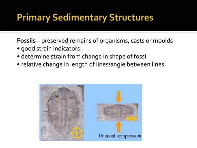 Primary sedimentary structures | PPT