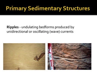 Primary sedimentary structures | PPT