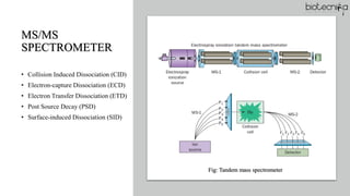 Mass Spectrometry Based Proteomics Analysis | PDF