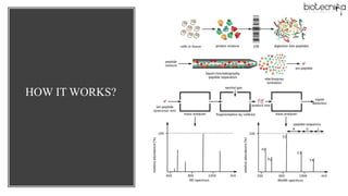 Mass Spectrometry Based Proteomics Analysis | PDF