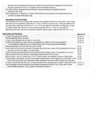 Mass. court of appeals briefs' checklist | PDF