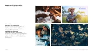 MASS-SPECC Brand & Identity Systems Guide.pdf