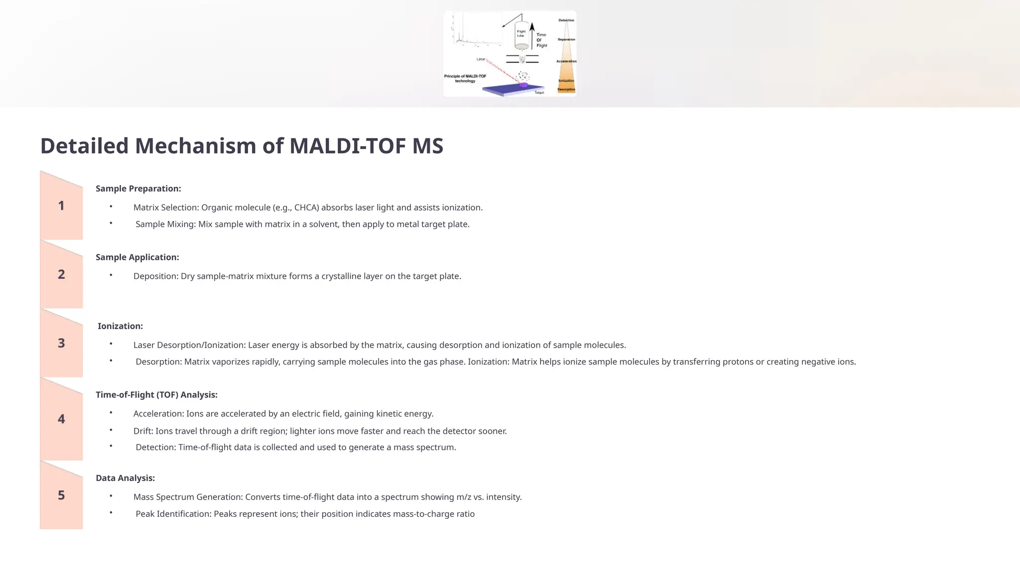 Mass-Spectrometry principle process.pptx Mass-Spectrometry principle process.pptx