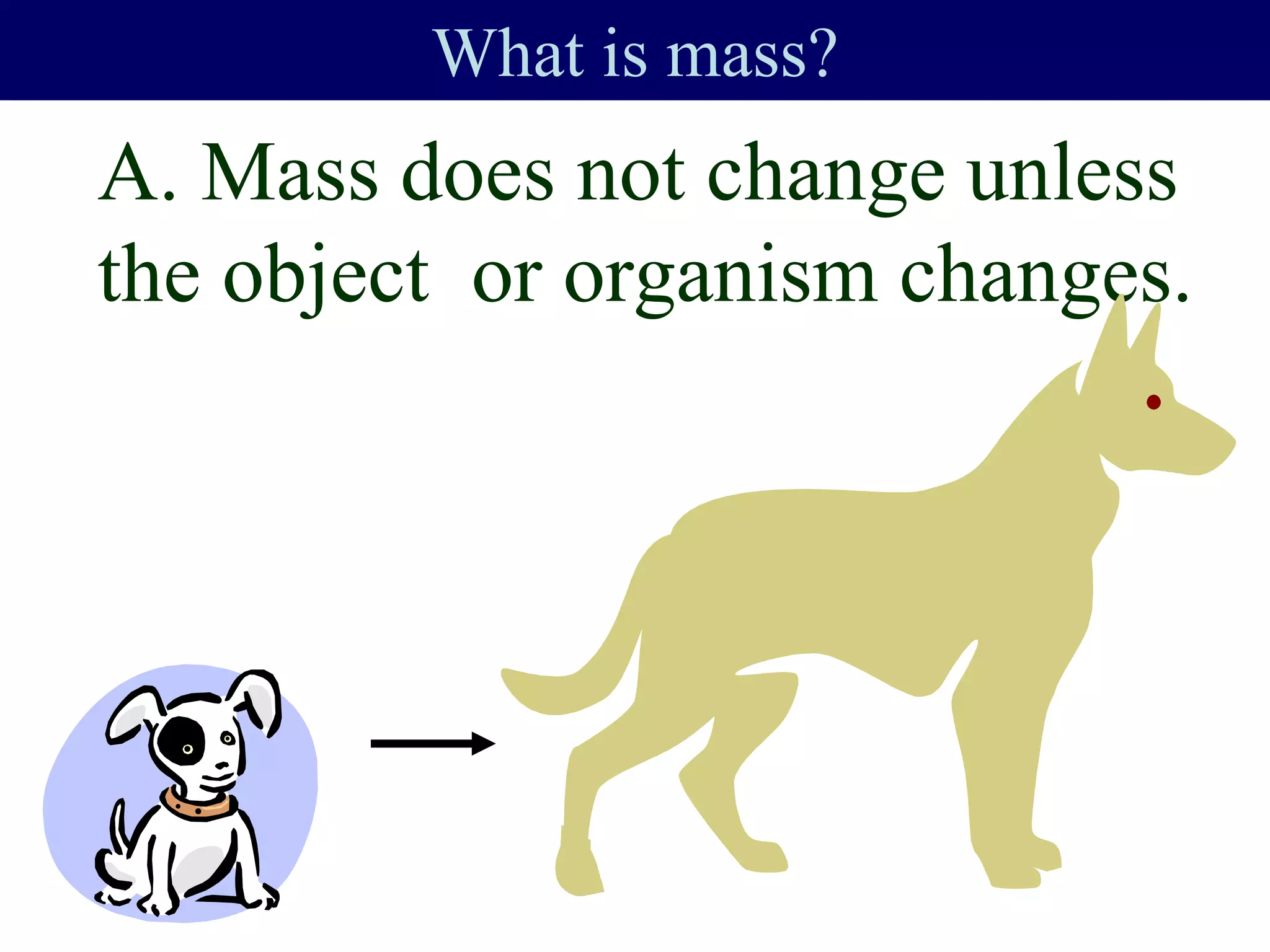 Mass vs Weight 2013 | PPT