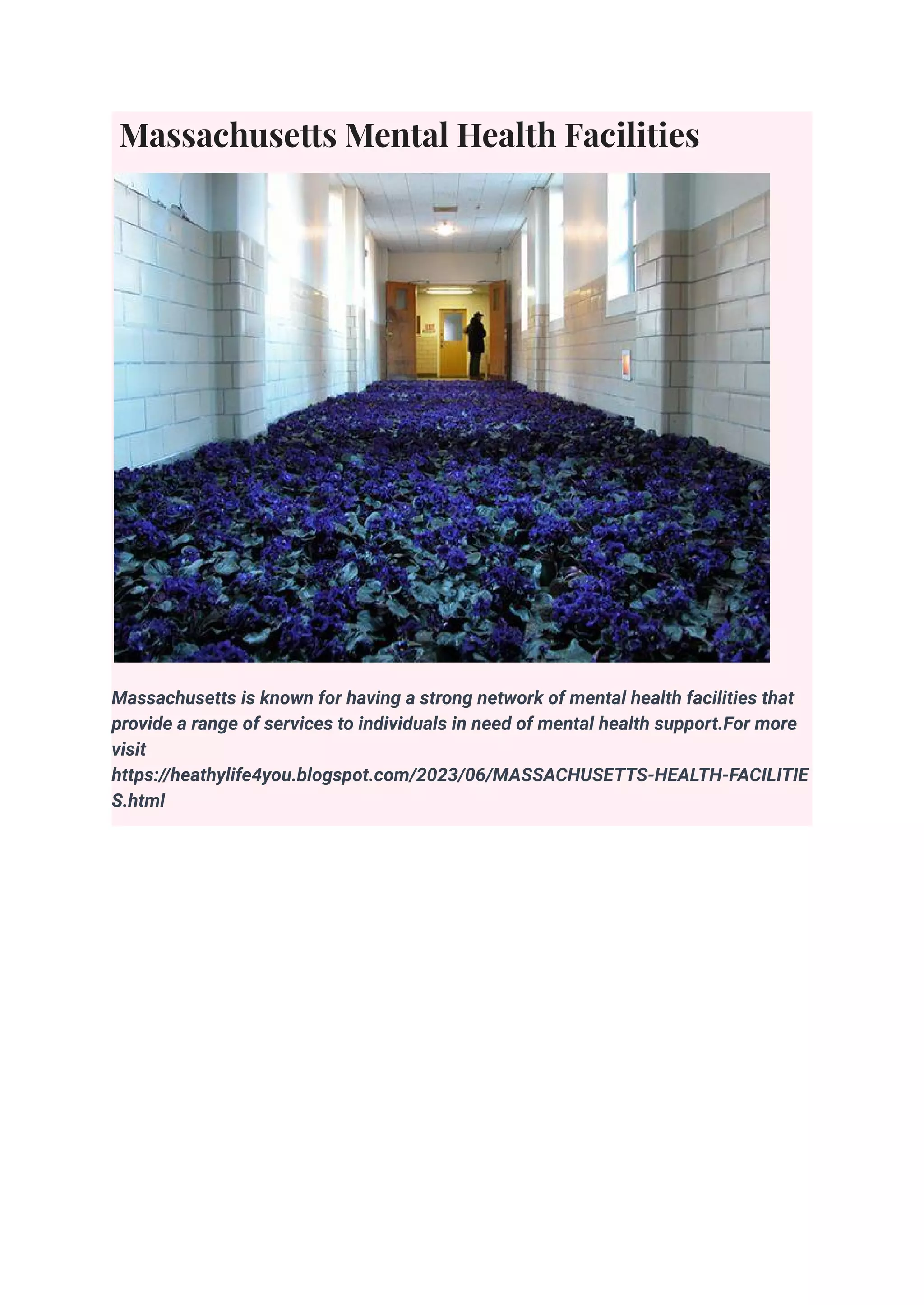 Massachusetts Mental Health Facilities | PDF