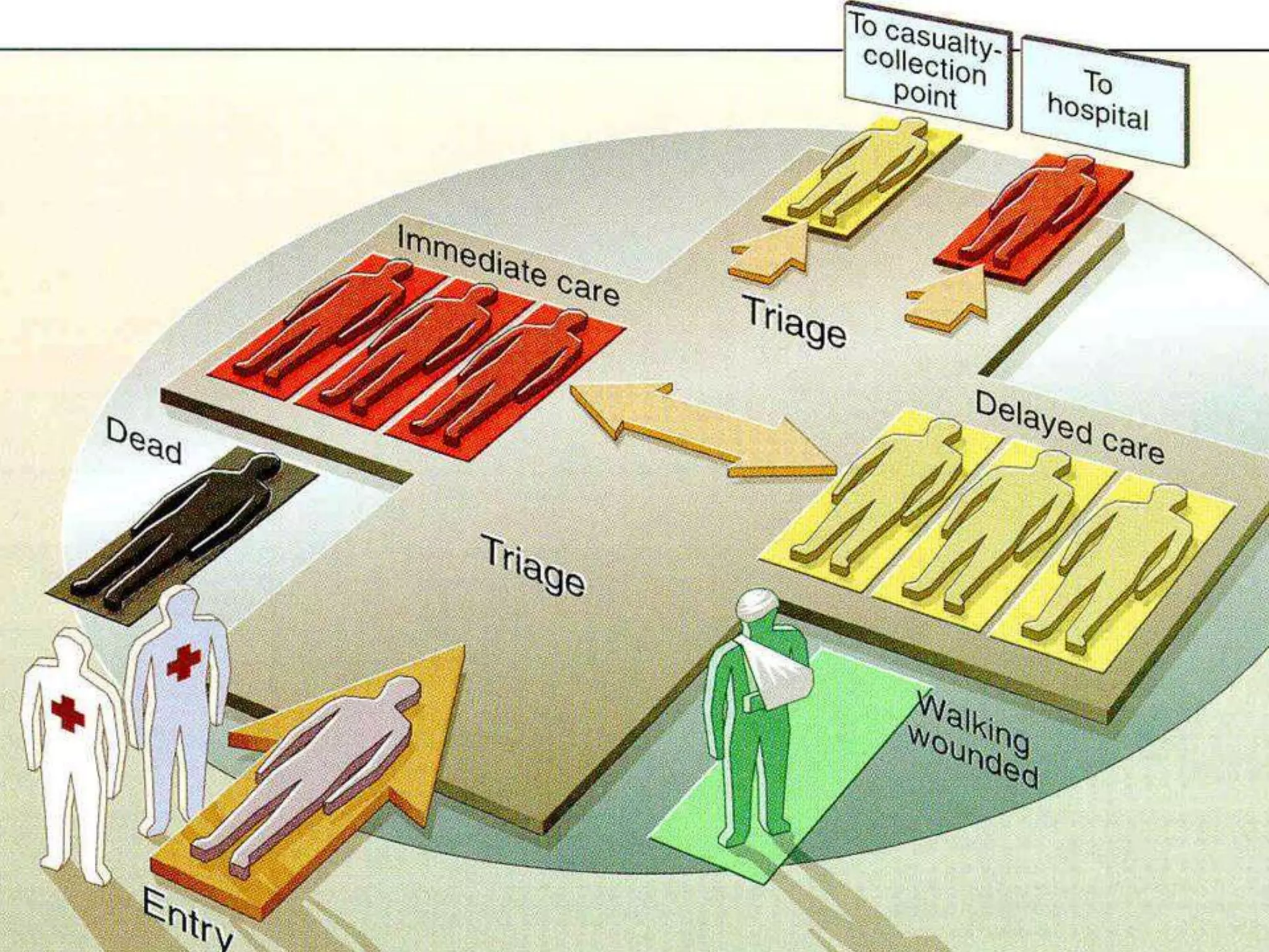 Mass casualty management | PPSX