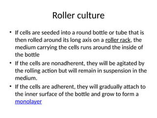 Mass Cell Culture_animal cell culture.pptx