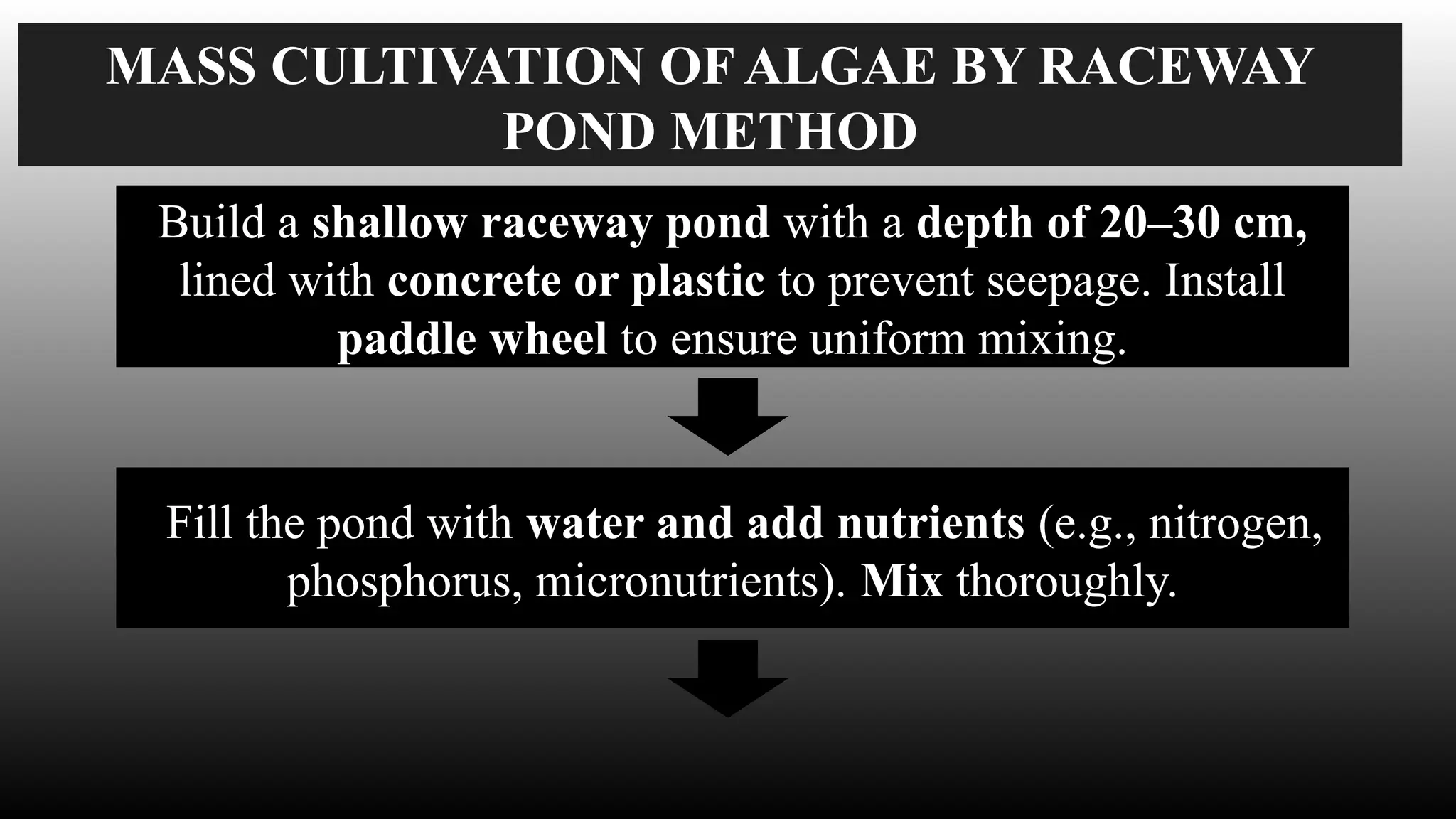 MASS CULTIVATION OF ALGAE IN CIRCULAR -TUBULAR COLUMN, RACEWAY POND AND ...