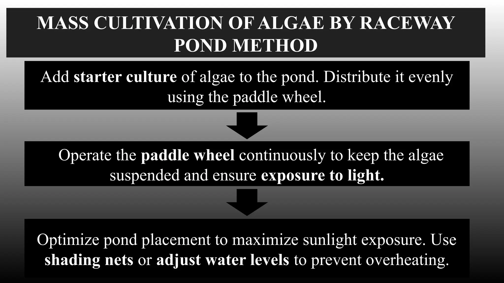 MASS CULTIVATION OF ALGAE IN CIRCULAR -TUBULAR COLUMN, RACEWAY POND AND ...