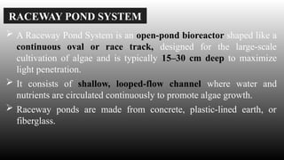 MASS CULTIVATION OF ALGAE IN CIRCULAR -TUBULAR COLUMN, RACEWAY POND AND ...
