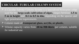 MASS CULTIVATION OF ALGAE IN CIRCULAR -TUBULAR COLUMN, RACEWAY POND AND ...