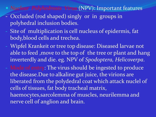 Mass culturing of npv | PPTX