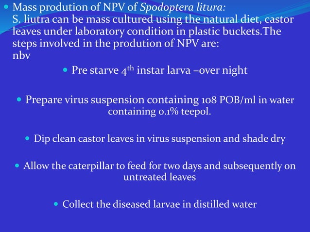 Mass culturing of npv | PPTX