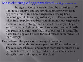 Mass culturing of trichogramma | PPT