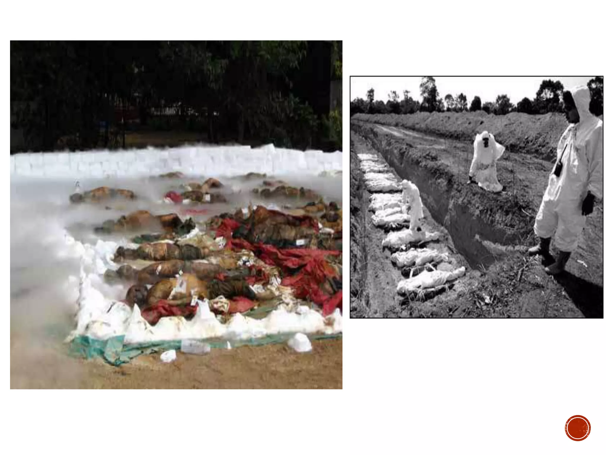 Mass disaster in Forensic Medicine | PPTX