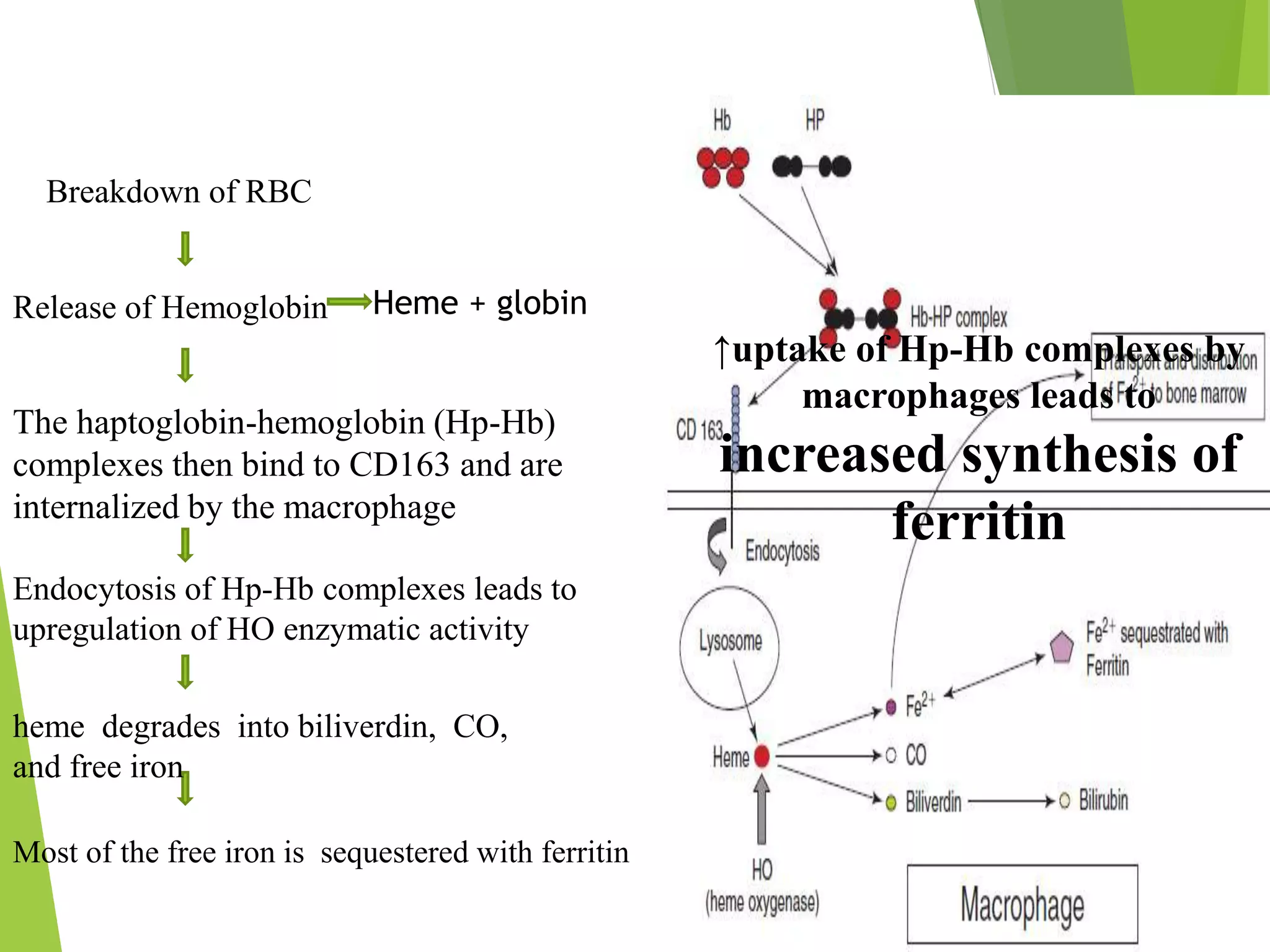 seminar on MAS | PPTX