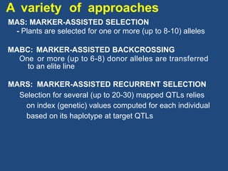 MAS ( Marker Assisted Selection) | PPT