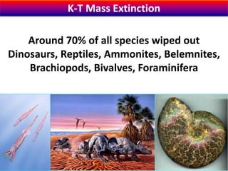 Mass extinction | PPTX