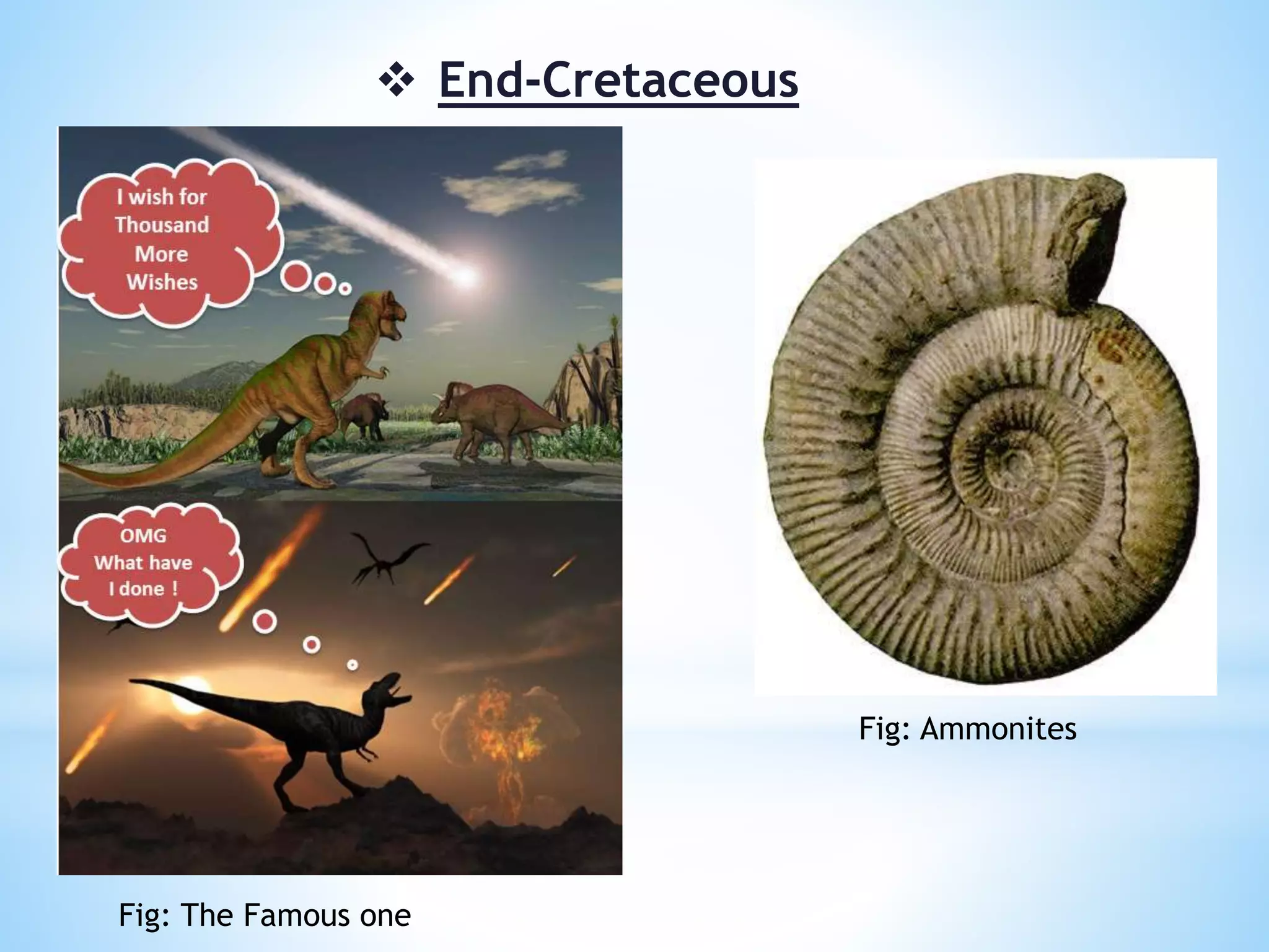 Mass extinction | PPTX