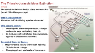 Mass extinction | PPTX