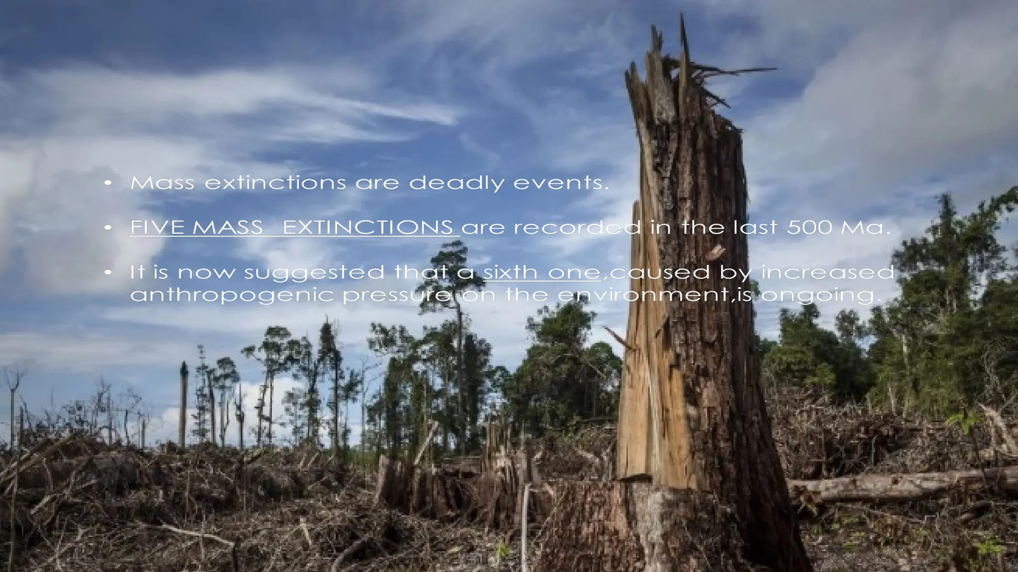 MASS EXTINCTION, the role in evolution, and the types of mass extinction | PPT